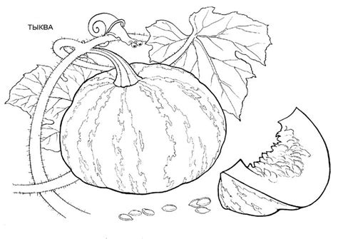 Как сделать овощи и фрукты из бумаги Материнство беременность роды питание воспитание