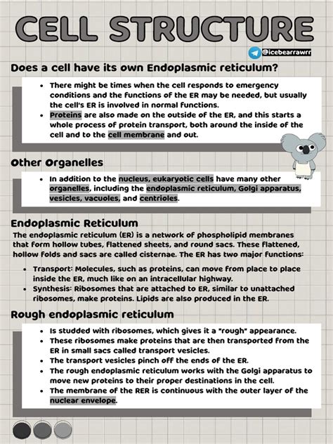 Bio Cell Structure Pdf Endoplasmic Reticulum Cell Biology