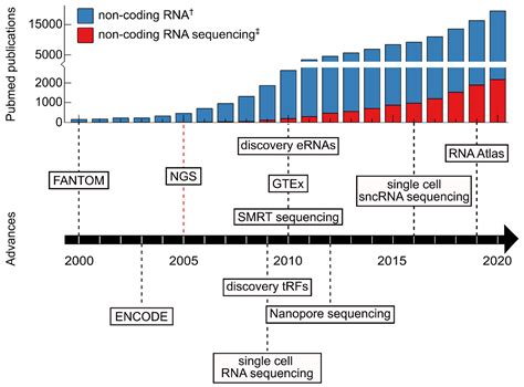 Ncrna Free Full Text Advances In Non Coding Rna Sequencing