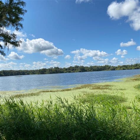 Ciara Dee Sketch Ncii Snapchat Stories Spotlight And Lenses