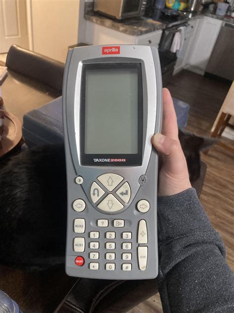 I Finally Found One Axone 2000 For Programming Raprilia