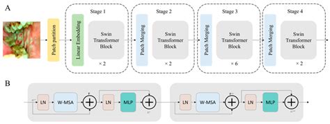 The Block Diagram Of The Swin Transformer Architecture A And The Swin