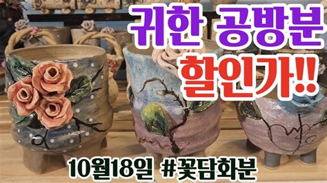 10월18일 귀한공방분 할인가 꽃담다육스토리예쁜화분화분싸게파는곳다육식물多肉植物succulents다육이꽃담화분
