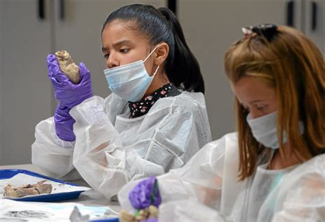 Upland Foothill Knolls To Transition Into Stem Academy Daily Bulletin