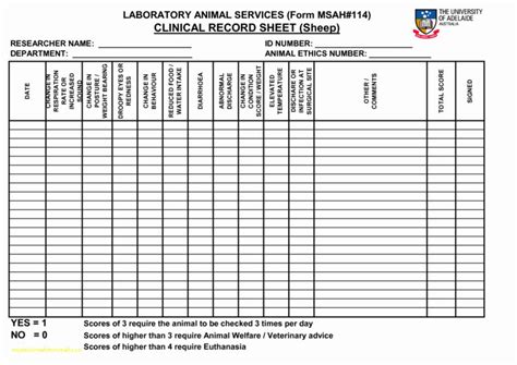 Beef Cattle Budget Spreadsheet For Cattle Herd Management Spreadsheet