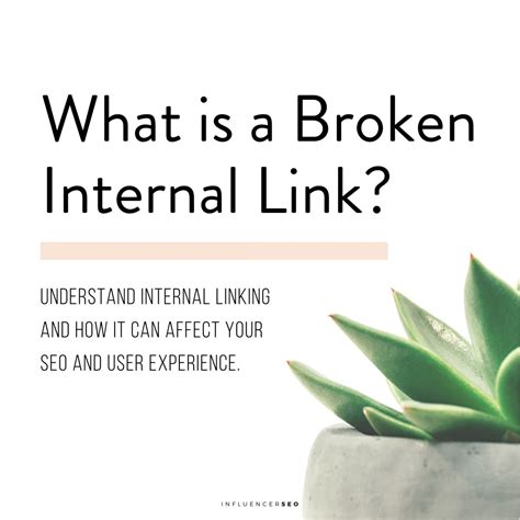 What Is An Internal Broken Link On Your Blog Influencer Seo