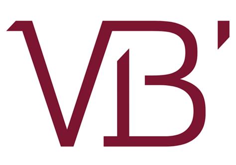 Anna Monakhova Joined the VBpartners Partnership - The American Chamber ...