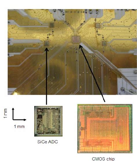 Receiver Signal Processing Unit Download Scientific Diagram