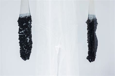 Morphogenesis Behance