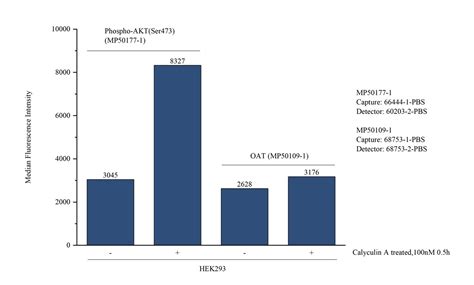 Phospho Akt Ser473 Monoclonal Matched Antibody Pair Pbs Only