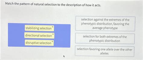 Solved Match The Pattern Of Natural Selection To The