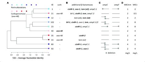 A Dendrogram Based On Average Nucleotide Identities Ani Of E Coli Download Scientific