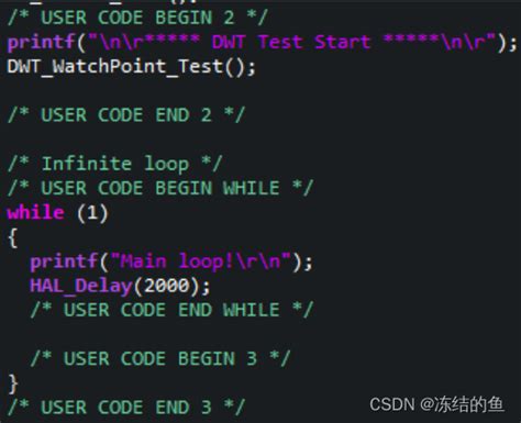 使用 stm32 的 dwt 单元监控内存 stm32 dwt csdn博客
