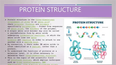 protein modeling pptx