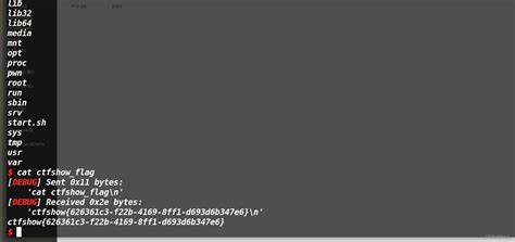 Ctfshow Pwn 栈溢出(pwn41 Pwn42)ctfshow Pwn41 Csdn博客 Ctfshow Pwn 栈溢出(pwn41 Pwn42)ctfshow Pwn41 Csdn博客