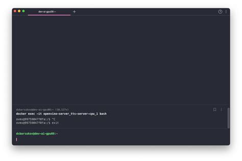 Docker Exec Bash Doesnt Work Under Certain Circumstances · Issue 2154