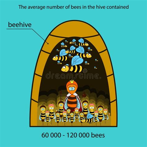 Bee Infographics Stock Illustration Illustration Of Flat
