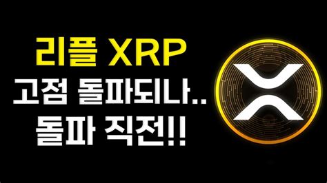 리플 비트코인처럼 동급 랠리 오나 비법 공개 Youtube