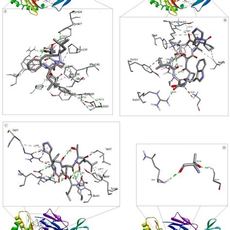 Molecular Docking Of Selected T Cell Epitopes With Hla A 0201 A