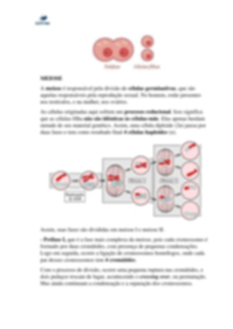 Solution Diferen As Entre Meiose E Mitose Divis O Celular Studypool