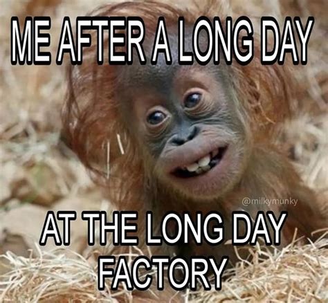 Monkey At The Factory Long Day Factory Know Your Meme