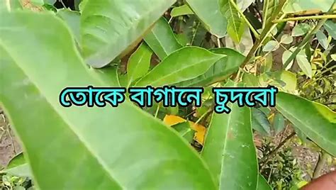 Hijab M Dchen Hotelzimmer Sex Beobachtet Tabu Meinlf Porno Auf Seinem Tablet Hijab