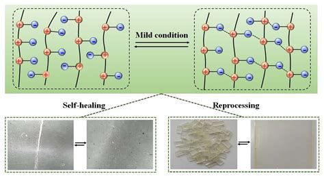 Polymers Free Full Text A Self Healable And Recyclable Zwitterionic Polyurethane Based On