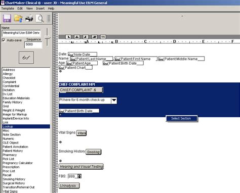 Create And Modify Note Sections To Output To A Referral Letter