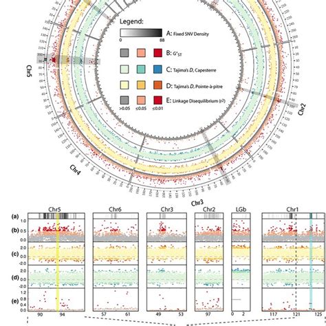 The Upper Circos Plot Displays Fixed Snps Gst″ Download