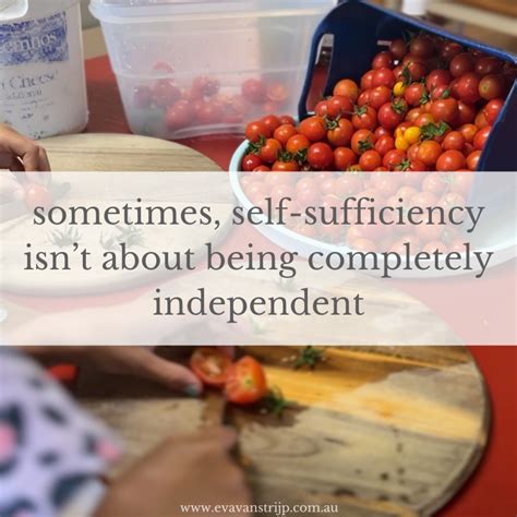 Self Sufficiency Doesnt Have To Mean Complete Independence Eva Van Strijp