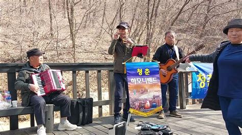 청춘등대 G원곡 손인호기타 김남혁아코디언 박헌수하모니카 장상달2023 0319 수락산 쉼터 Youtube