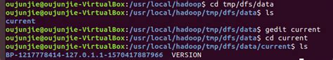 hadoop 没有datanode解决方法 hadoop中data文件没有怎么办 csdn博客