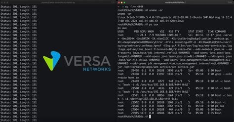 Serious Versa Concerto Vulnerabilities Allow Attackers To Escape Docker