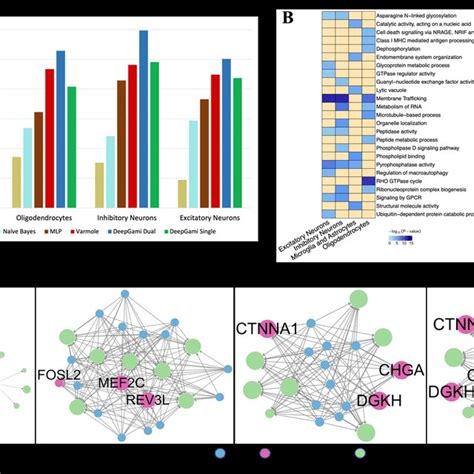 Classification Of Schizophrenia Individuals And Prioritization Of