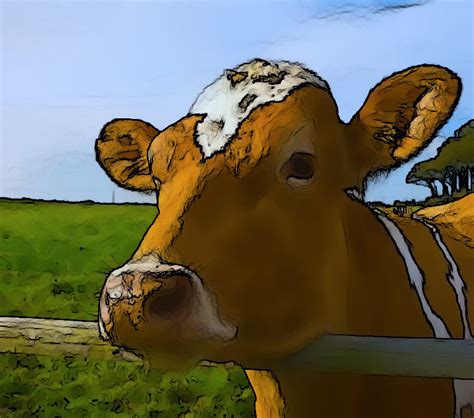 Non Photorealistic Rendering Using Opencv Python C Learn Opencv