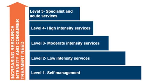 Initial Assessment And Referral Decision Support Tool 5 Levels Of Care