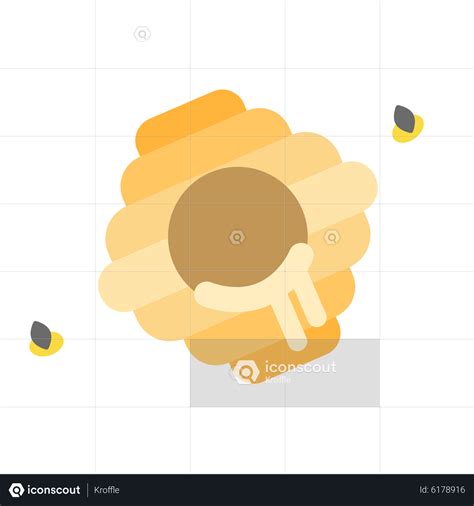 Honeycomb Animation By Kroffle Lottiefiles