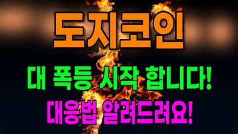 도지코인 대 폭등 시작 합니다 대응법 알려드려요 Youtube