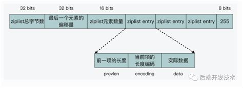 分钟学会Redis原理ZipList和IntSet原创 知乎