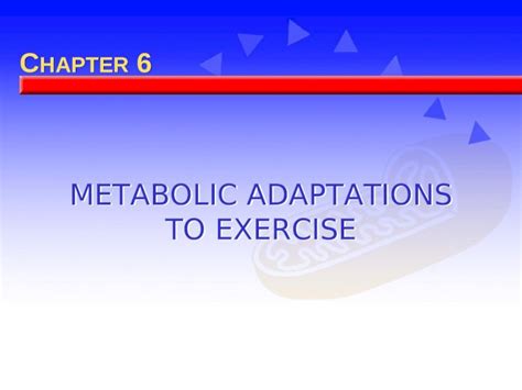 Ppt Metabolic Adaptations To Exercise Dokumentips