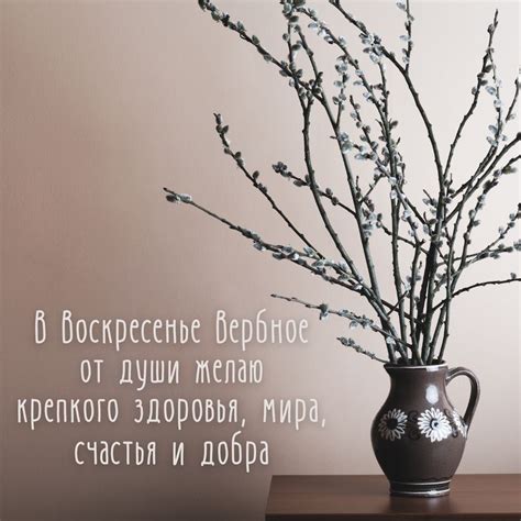 С Вербным Воскресеньем Картинки — Картинки фотографии