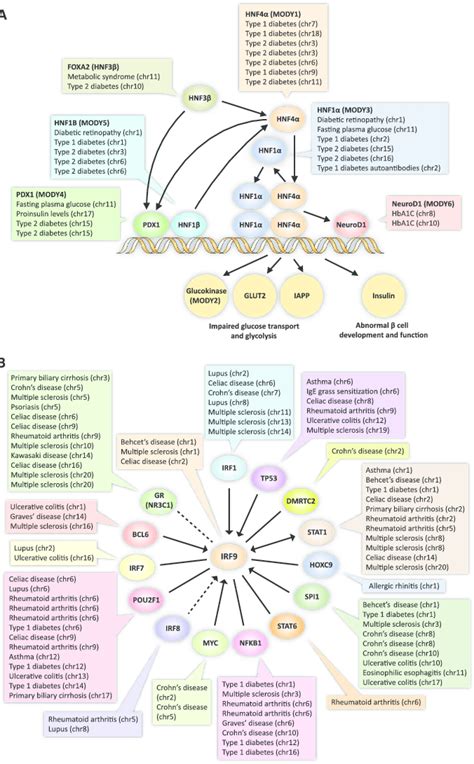 Common Disease Associated Variants Cluster In Regulatory Pathways A Download Scientific