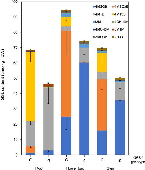 Frontiers Large Insertion In Radish Grs1 Enhances Glucoraphanin