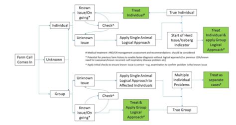 Week 22 Resp Respiratory Diseases Of Sheep Flashcards Quizlet