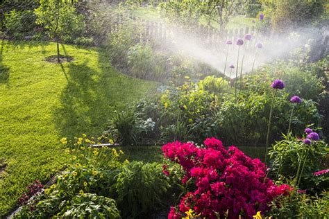 Summer Tree Watering Tips To Keep In Mind Nelson Tree Specialist