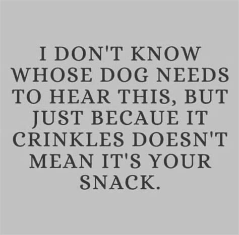 Mandee Currie Ms Lmhc Cctp On Linkedin Spoiledpetproblems