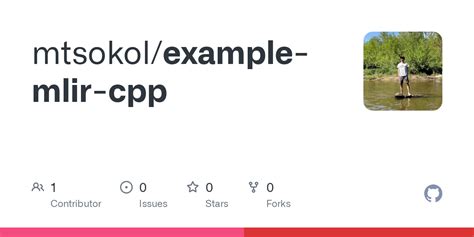 github mtsokol example mlir cpp