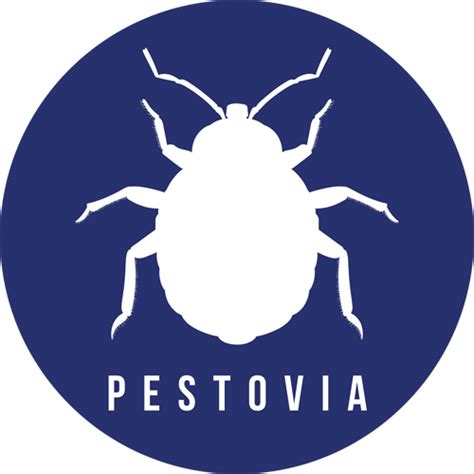 How To Get Rid Of Bed Bug Bites Overnight