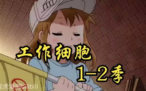 一口气看完《工作细胞1 2季》资源下载 下载狗工具