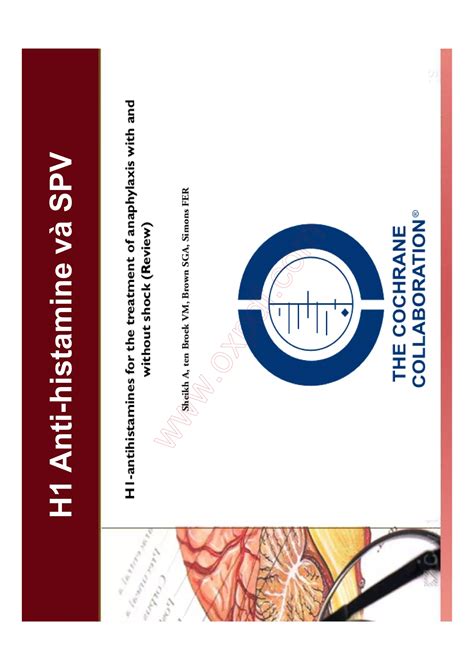 vai trò của antihistamin trong các phản ứng dị ứng nhanh | PPT